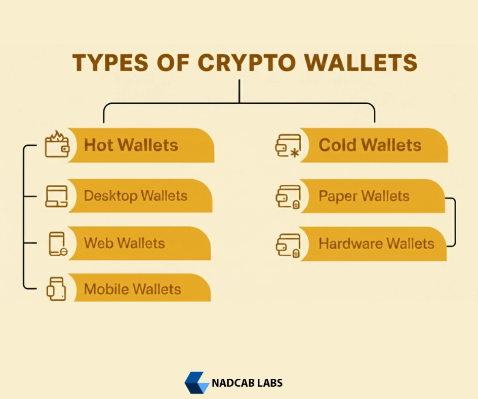 Types of Crypto Wallets with Examples and How They Work